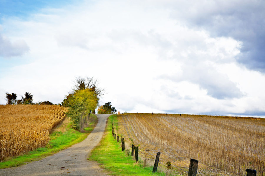 Sarrant, Plus beaux Villages de France - Site officiel de l'Office de ...
