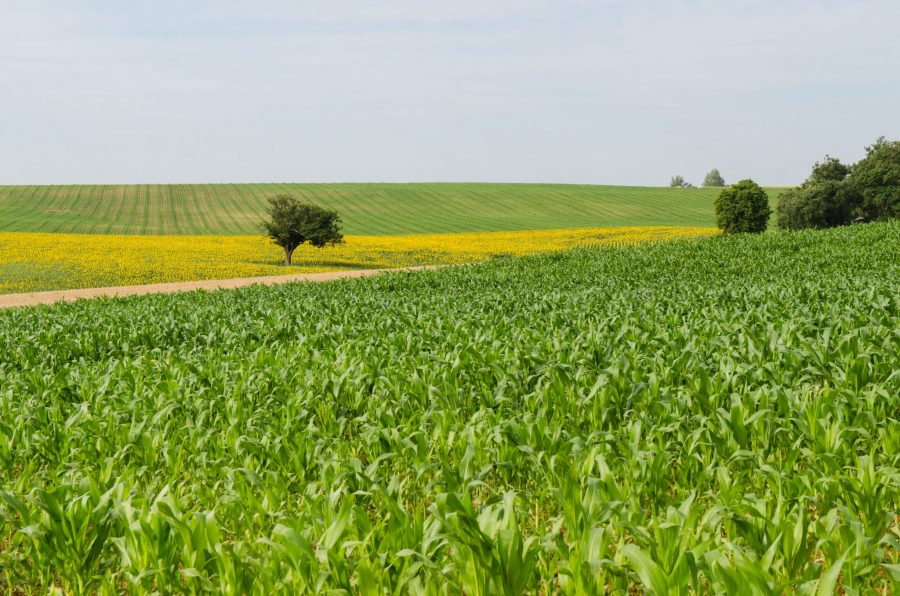 Sarrant, Plus beaux Villages de France - Site officiel de l'Office de ...